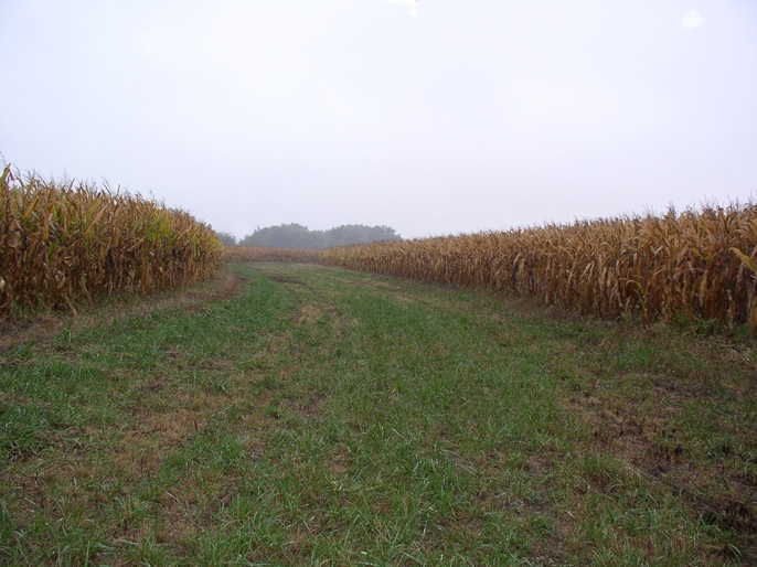 Conservation Practices