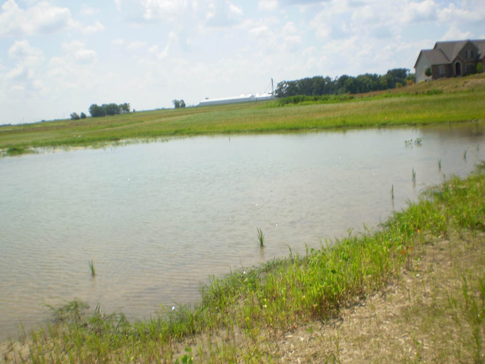 The Grove on Kickapoo Creek